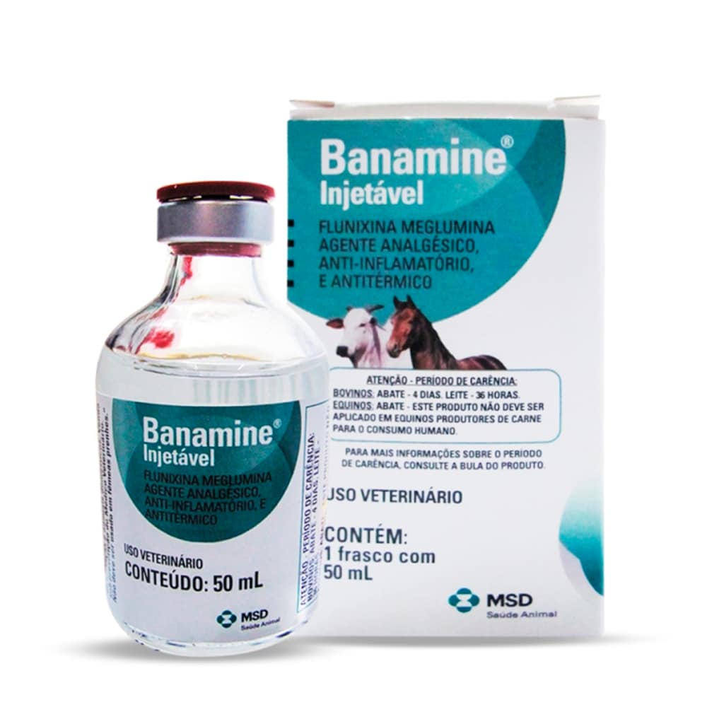 Conheça quais são as doenças respiratórias em cavalos e como tratá-las