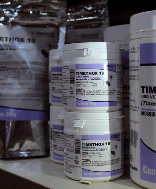 Veja como eliminar Moscas-dos-Chifres de maneira eficiente