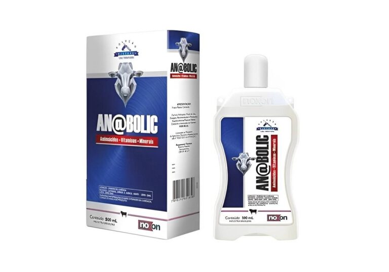 Qual o melhor suplemento para gado? 5 opções para bovinos